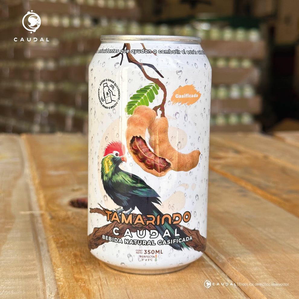 BEBIDA GASIFICADA DE TAMARINDO (caja de 24 latas) – Bebidas Caudal Online